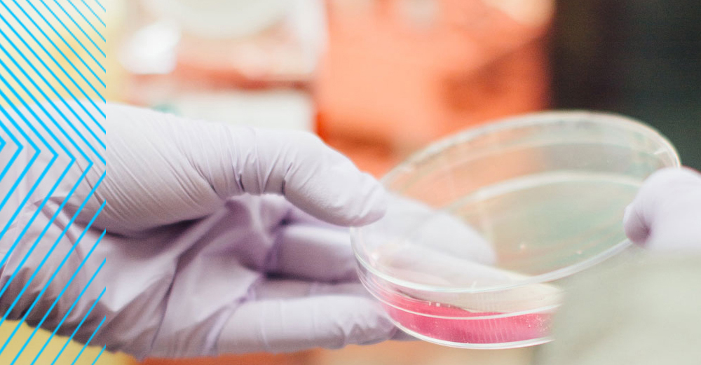 6 legal considerations for life science and healthcare startups ...